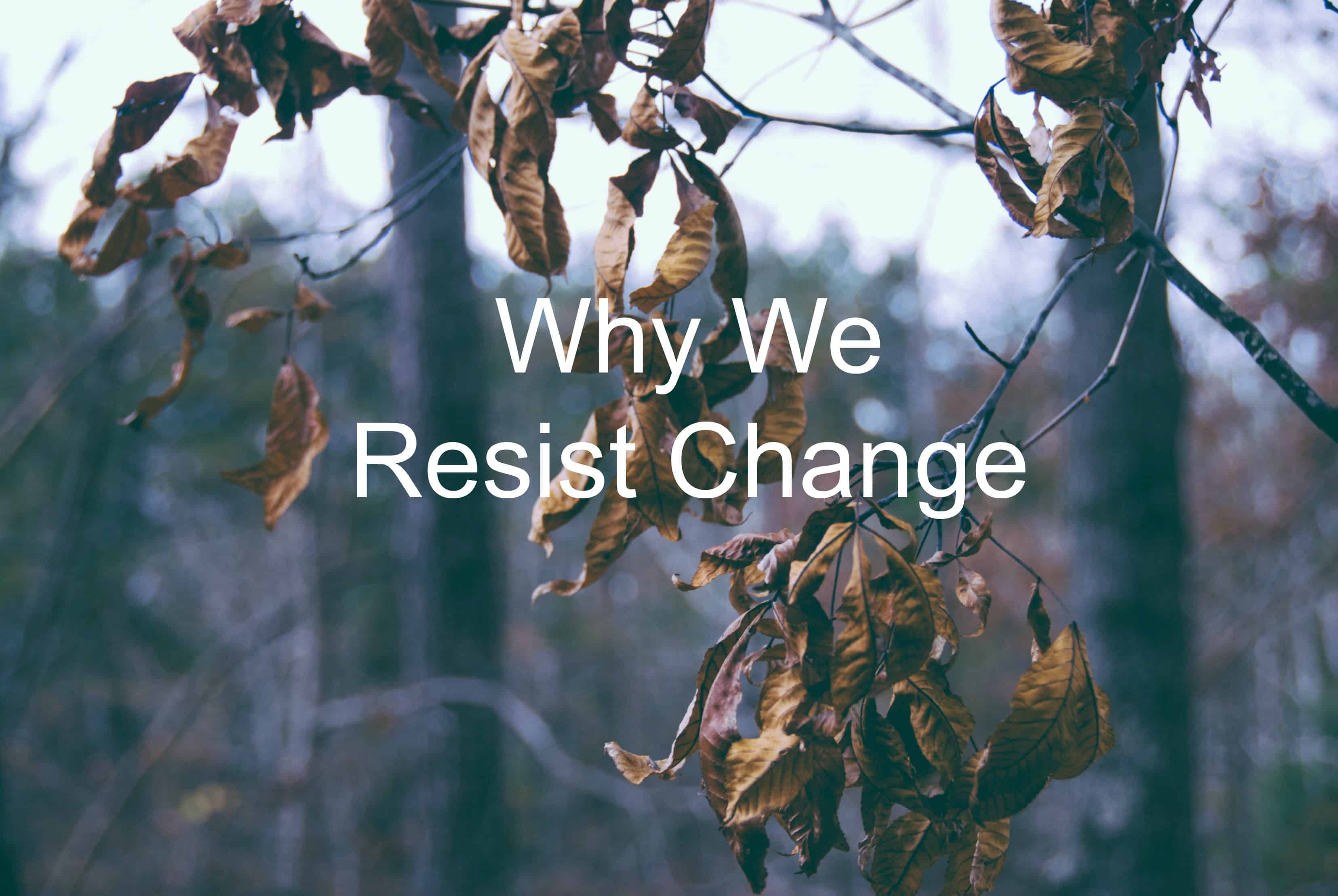 Why We Really Resist Change