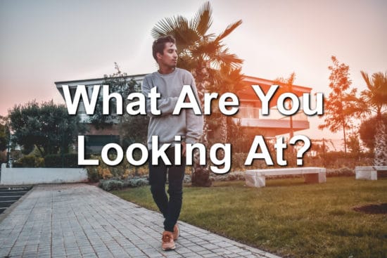 What Are You Looking At?