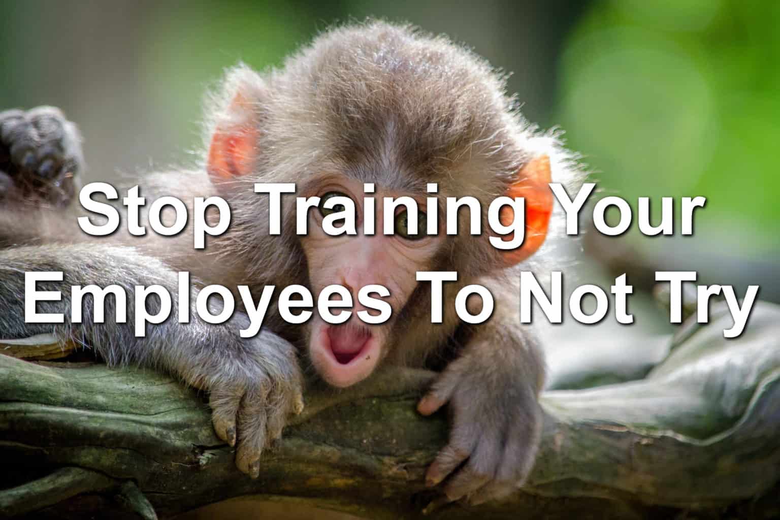 Joseph Lalonde | Empowering Young Leaders To Thrive In A Hectic World