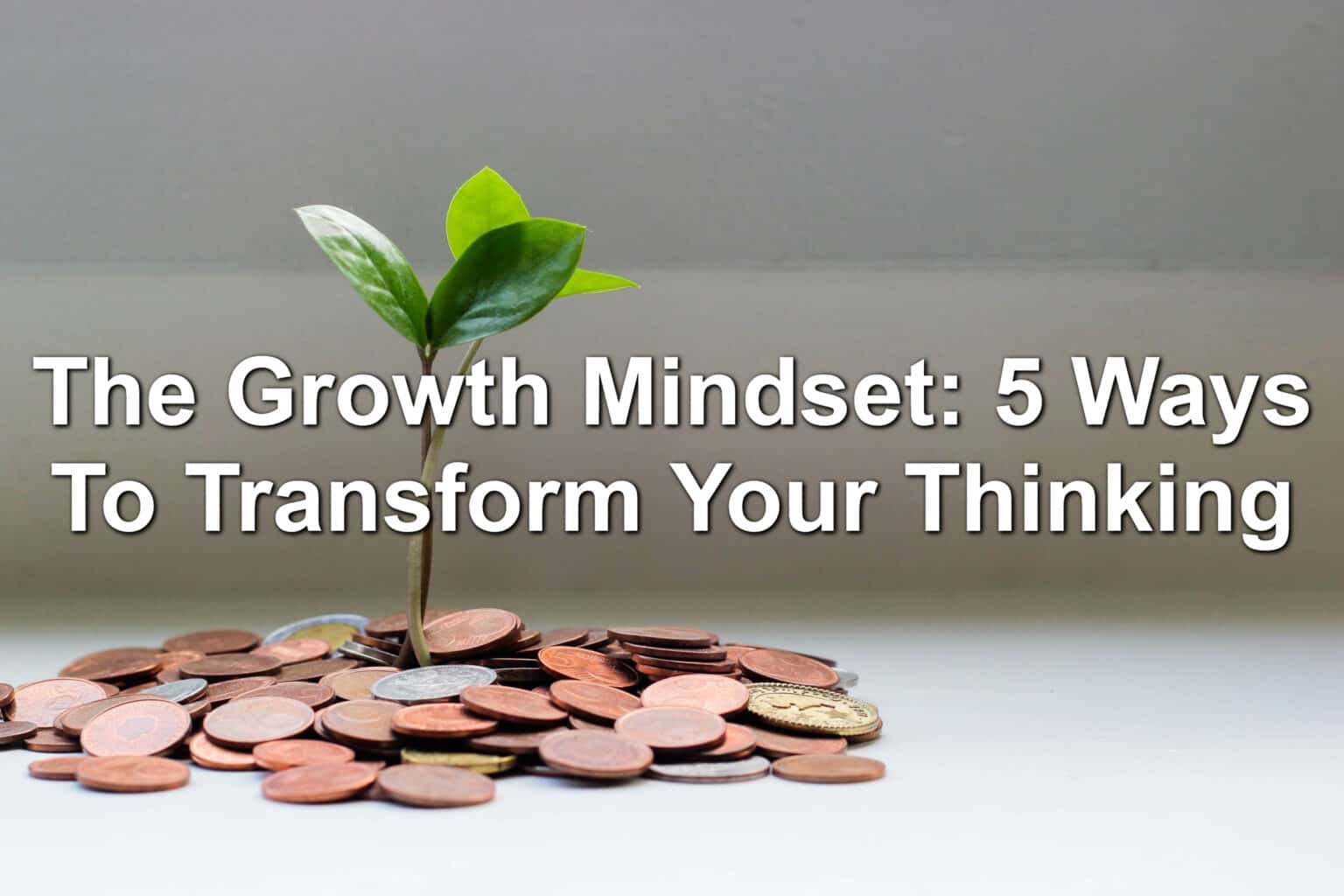The Growth Mindset: 5 Ways To Transform Your Thinking